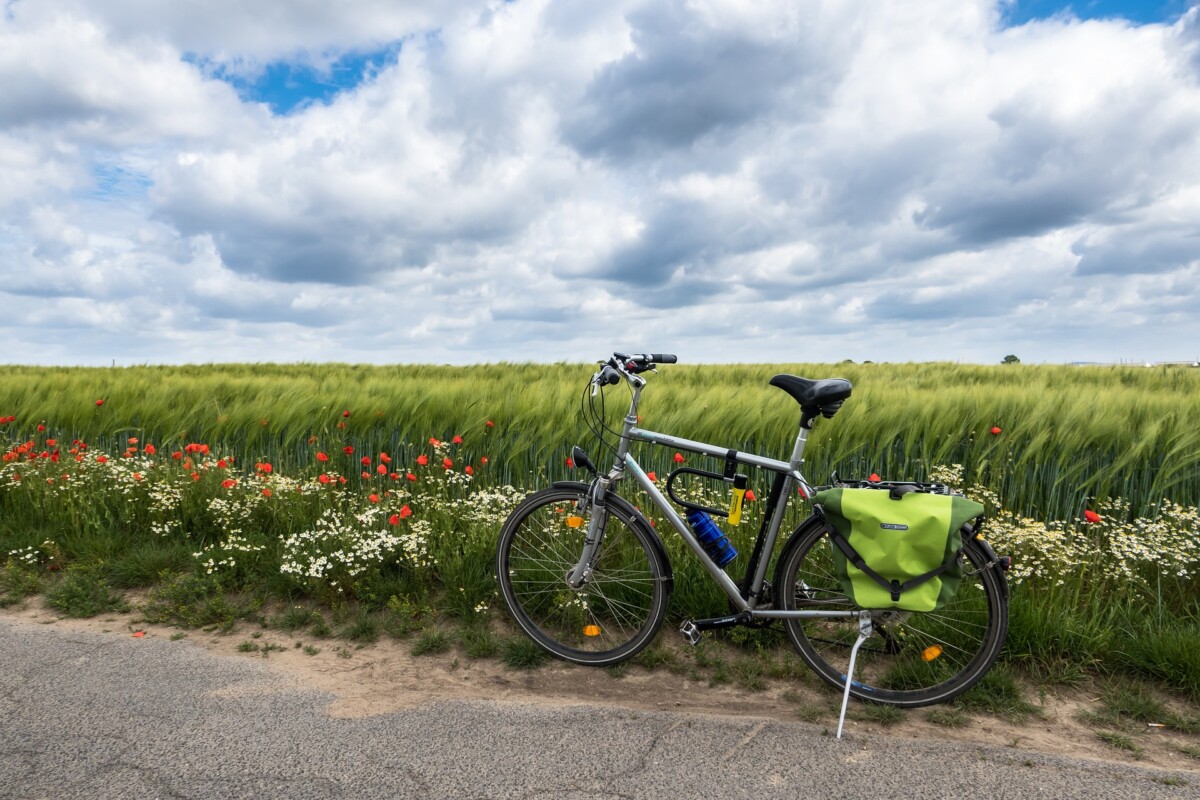 Op fietsvakantie in Groningen? 3 tips voor een top vakantie! - Over Yvonne